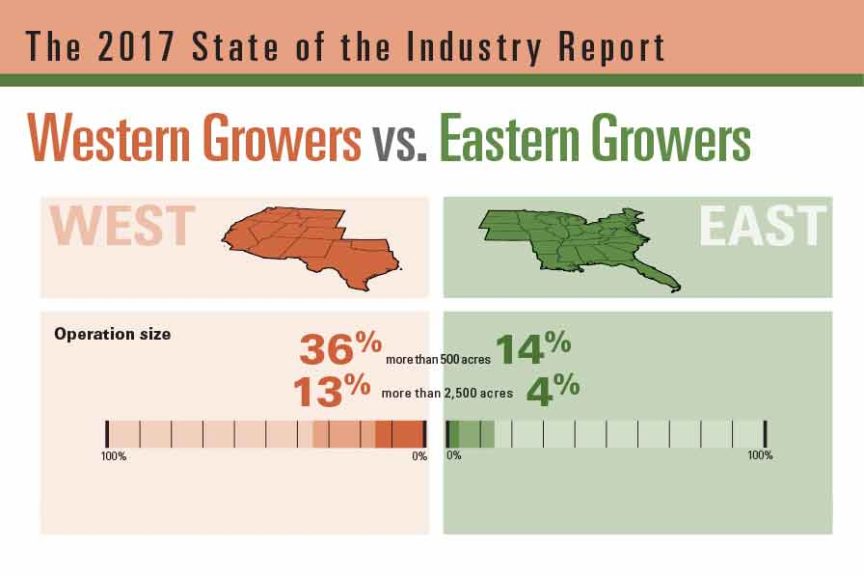 Take a Look at Our Top Graphics from the 2017 State of the Vegetable ...