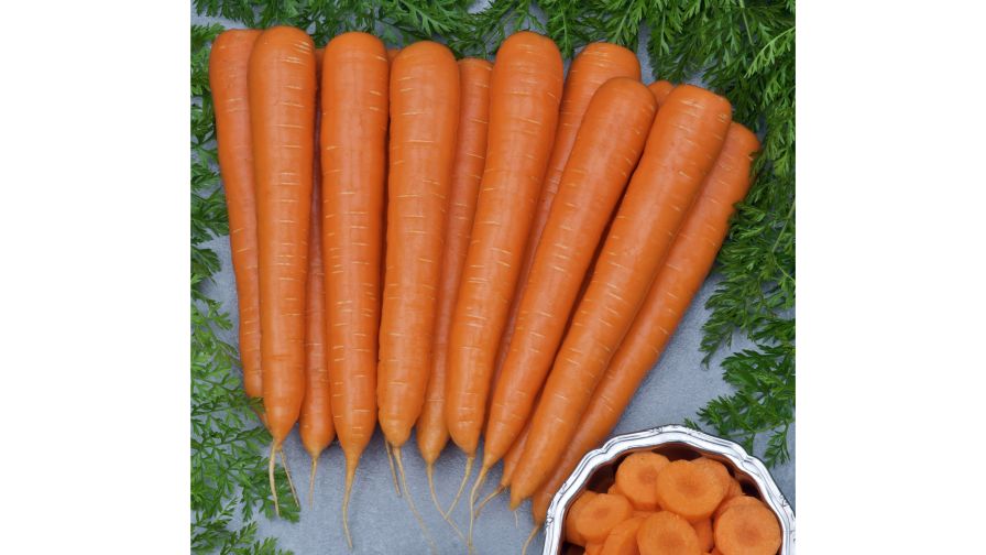 Top Carrot Varieties Ready for the Picking Right Now - Growing Produce