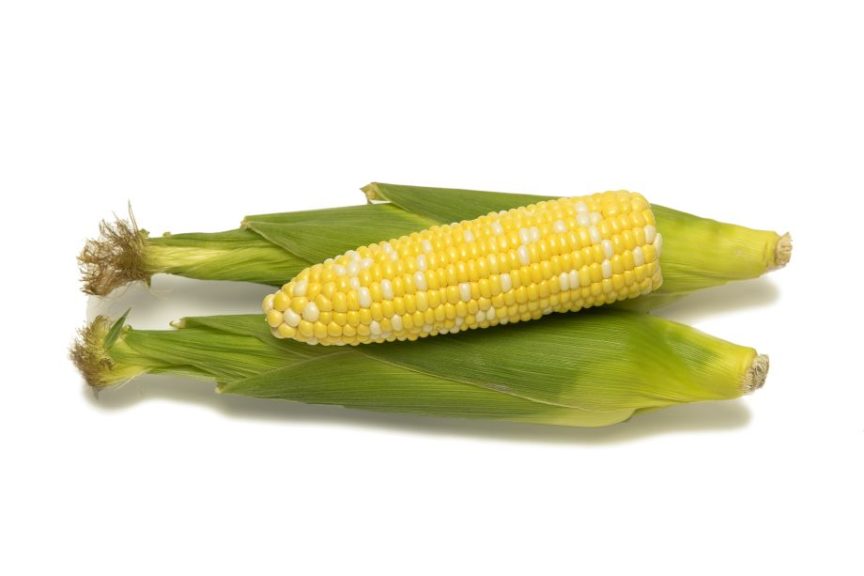 New Vegetable Varieties Coming Your Way - Growing Produce