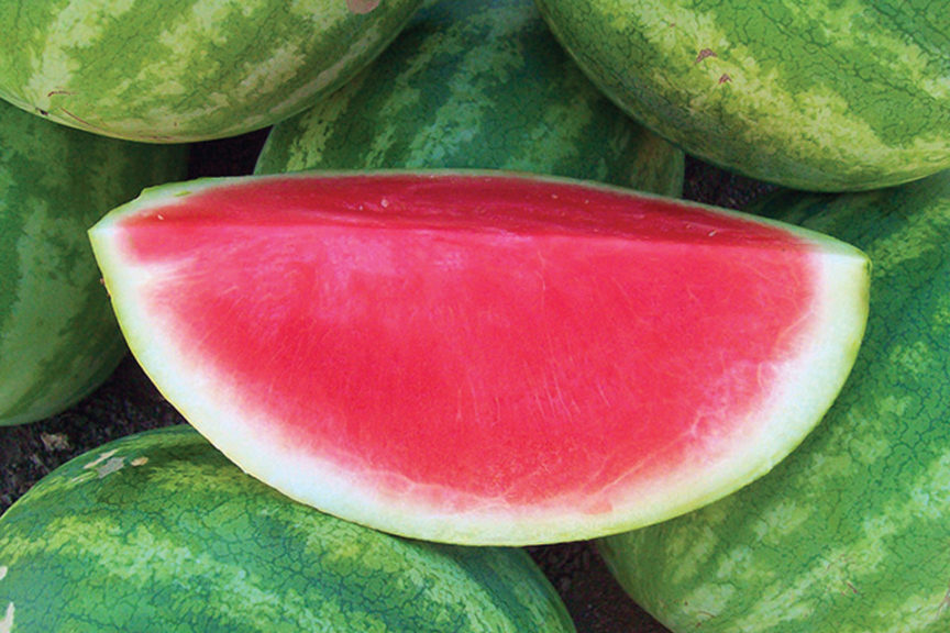 15 Watermelons You Should Check Out - Growing Produce