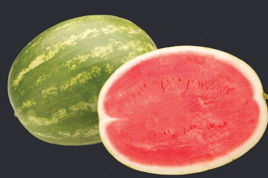 15 Watermelons You Should Check Out - Growing Produce