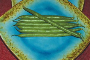 8 Bean Varieties You’ll Want to Grow - Growing Produce