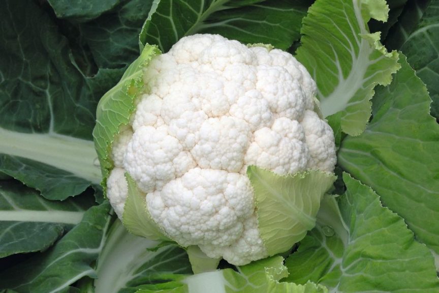11 Cauliflower Varieties You'll Want to Grow - Growing Produce