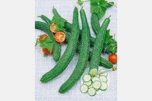 15 Great Cucumbers You'll Want to Grow - Growing Produce