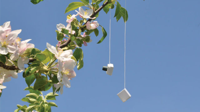 How This Novel Device Can Disrupt Mating of Fruit Pests - Growing Produce