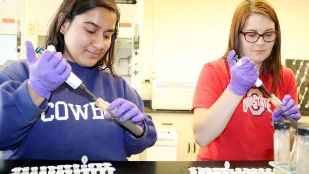 Fast, Inexpensive Nitrogen Soil Test in the Works for Farmers - Growing ...