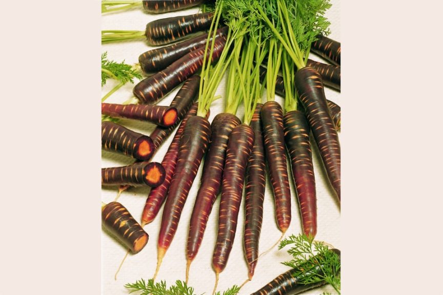12 Great Carrot Varieties for Growers - Growing Produce