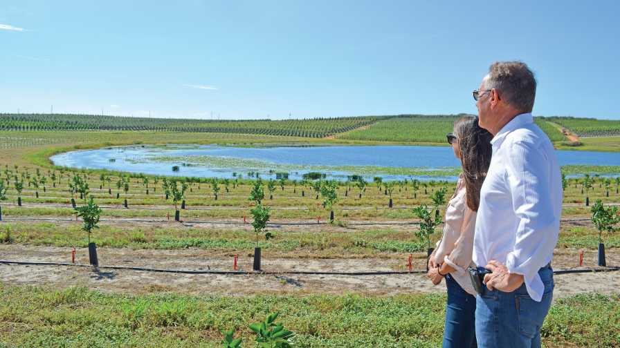 Fresh Perspective Yields New Faith in the Future of Florida Citrus ...