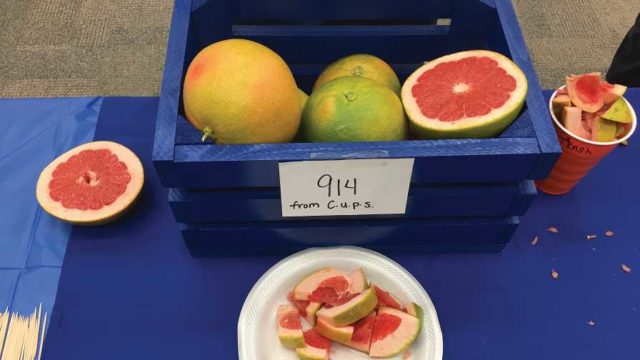 See the Future of Florida Citrus on Full Display - Growing Produce