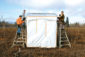 New Hazelnut Release Resists Eastern Filbert Blight - Growing Produce