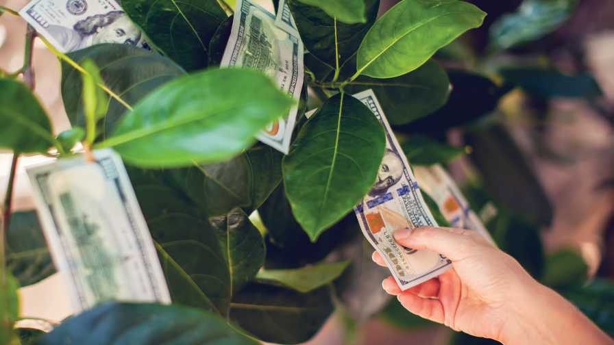 Creative Ways To Finance Your Farm - Growing Produce