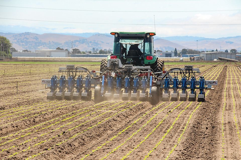 New Study: Global Fertilizer Market Stability Facing Long Road ...