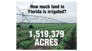 How to Make Sense of New Ag Census Data About Florida Agriculture ...