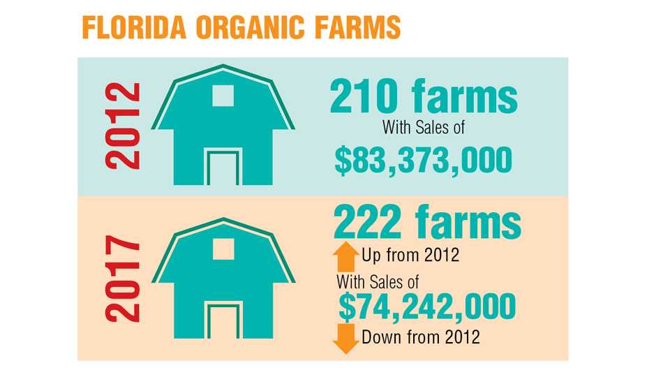 How to Make Sense of New Ag Census Data About Florida Agriculture ...