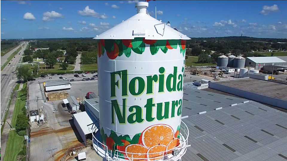 Cheers! Robust Revenue Growth for Florida OJ Producer - Growing Produce
