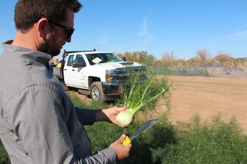 Take a Tour of Top Flavor Farms [Slideshow] - Growing Produce