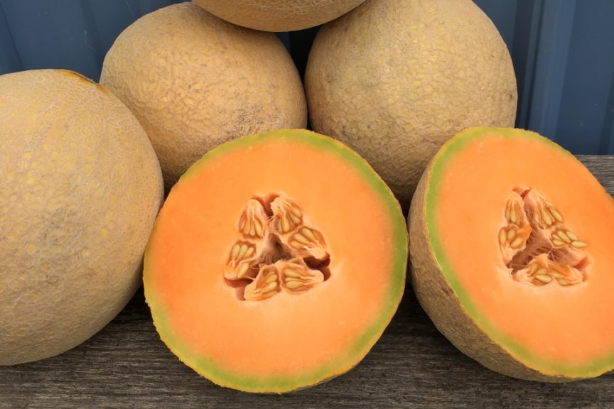 11 Specialty Melons to Round Out Your Crop Mix - Growing Produce