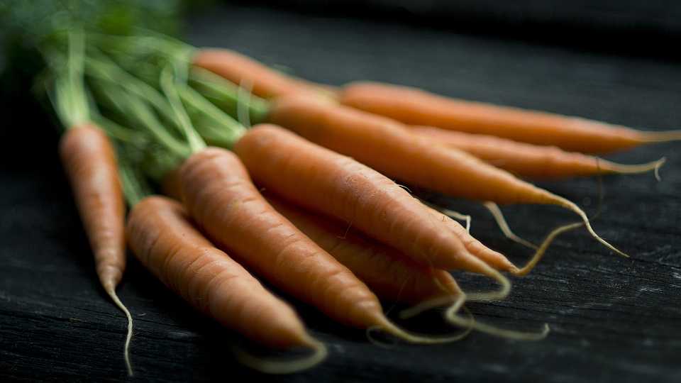 Sakata Seed America Sells Its Carrot Program to Illinois Foundation ...