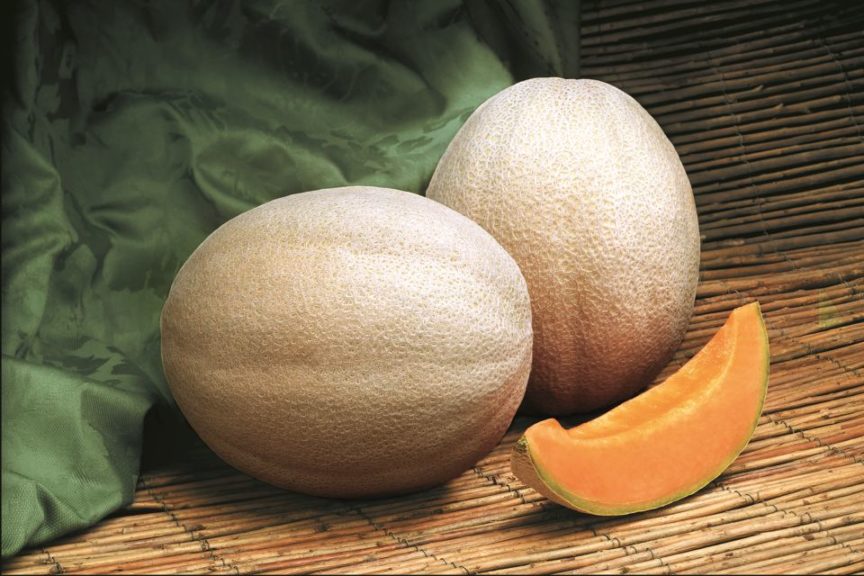 16 Cantaloupe and Other Melon Varieties To Get Excited About - Growing ...
