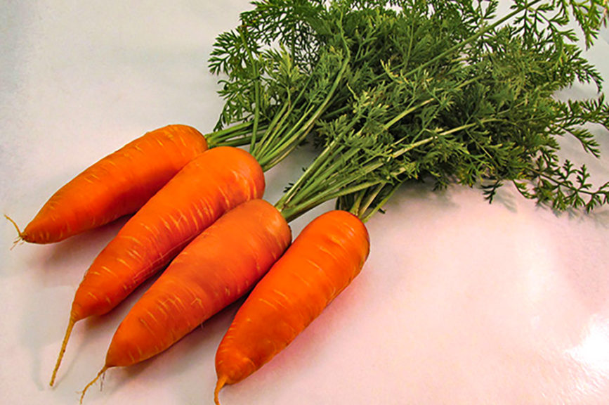 Top Carrot Varieties for 2019 - Growing Produce