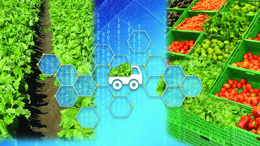 How the Produce Industry Is Modernizing Traceability - Growing Produce