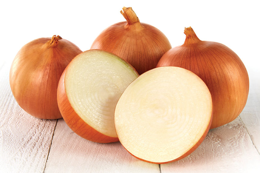 Pick Your New Crop from These 20 Onion Varieties - Growing Produce