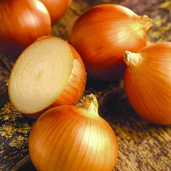 Pick Your New Crop from These 20 Onion Varieties - Growing Produce