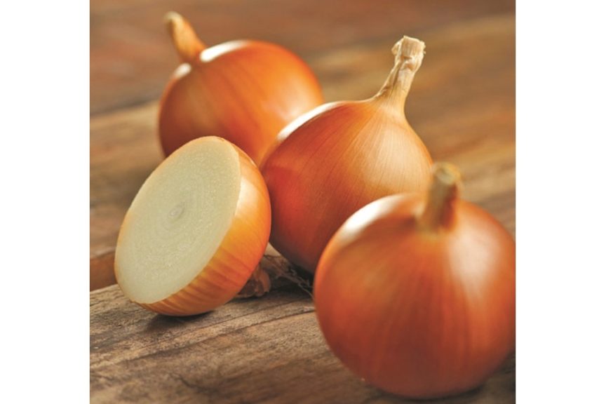 Pick Your New Crop from These 20 Onion Varieties - Growing Produce