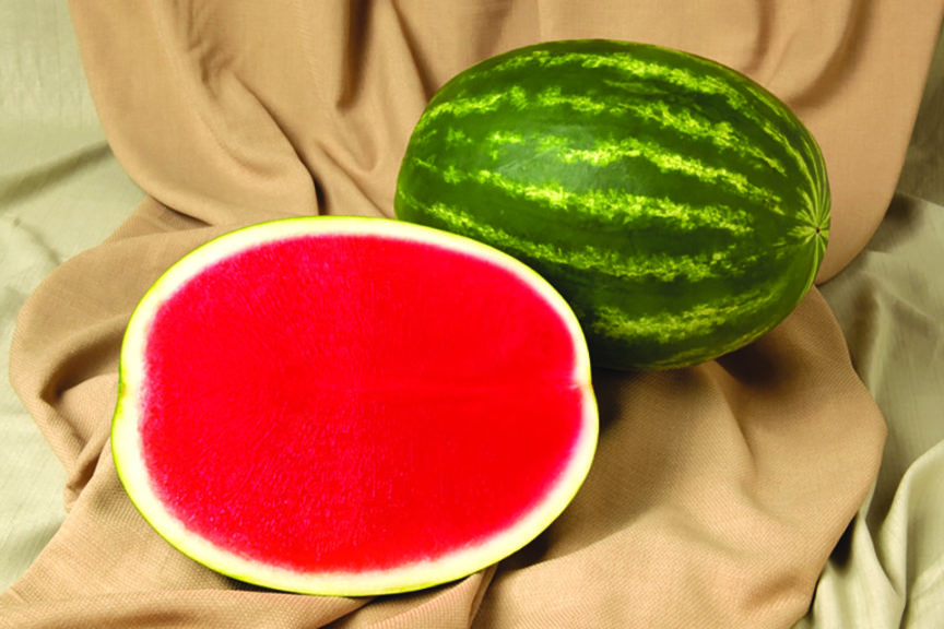 18 Watermelon Varieties Perfect for 2020 - Growing Produce