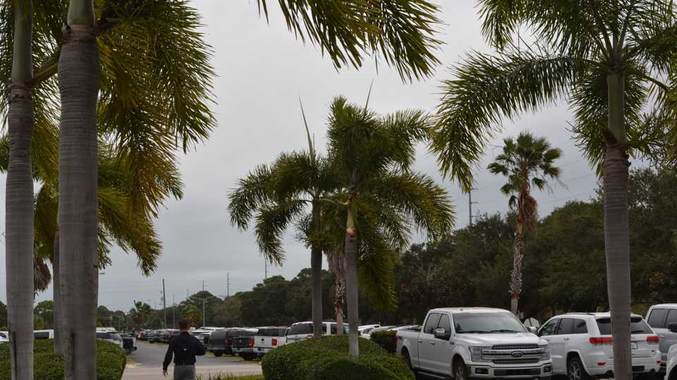 2020 Florida Citrus Show Kicks off Year on Strong Note - Growing Produce