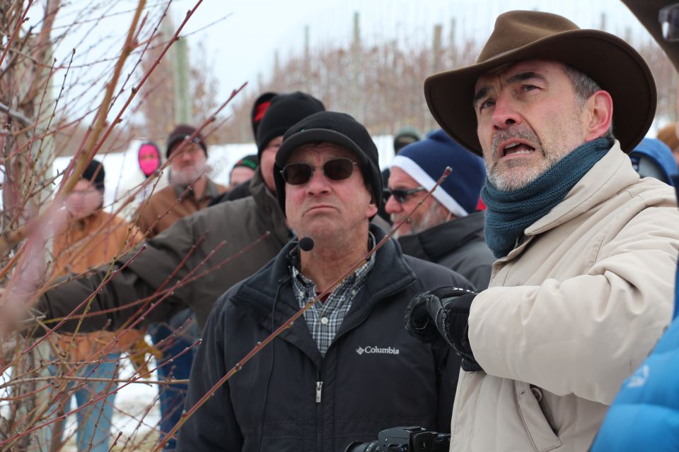 Why Apple Growers Are Being Urged to Stay a Cut Above - Growing Produce