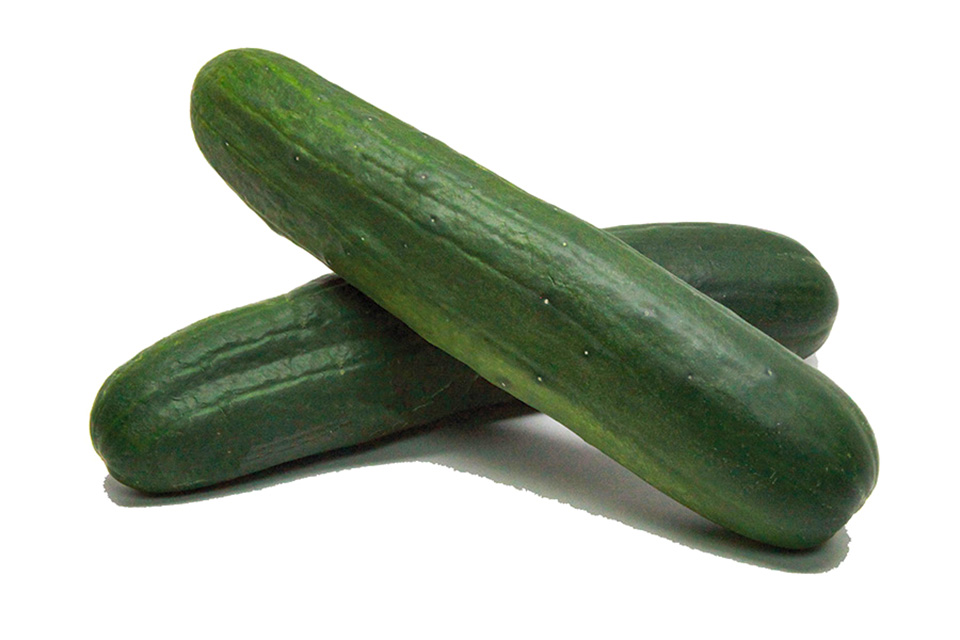 Cool Cucumber Varieties You Will Want To Grow - Growing Produce