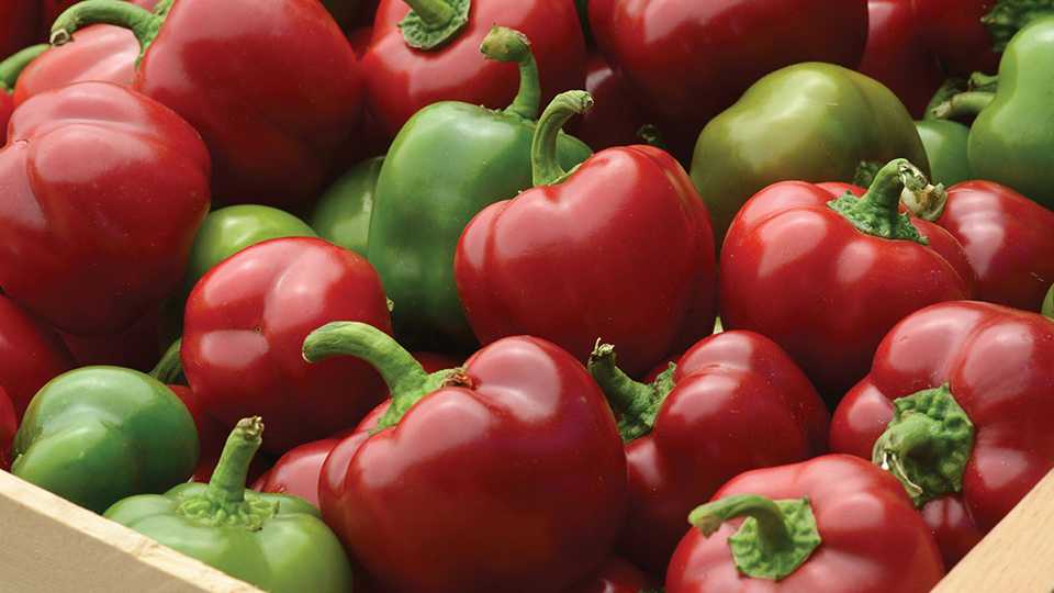 Check Out These Hot and Sweet Pepper Varieties - Growing Produce