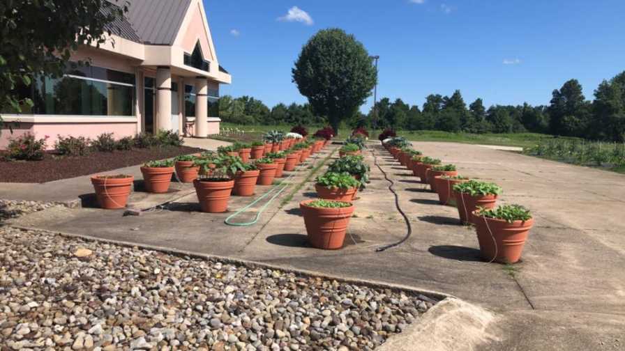 Grimes Horticulture Closes After Almost 100 Years in Business - Growing ...