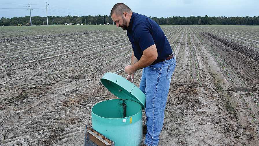 How Being Extra Resourceful Helps L&M Farms Grow Forward - Growing Produce