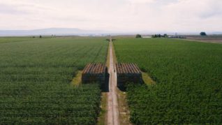 Welcome To the Orchard of the Future Right Now - Growing Produce