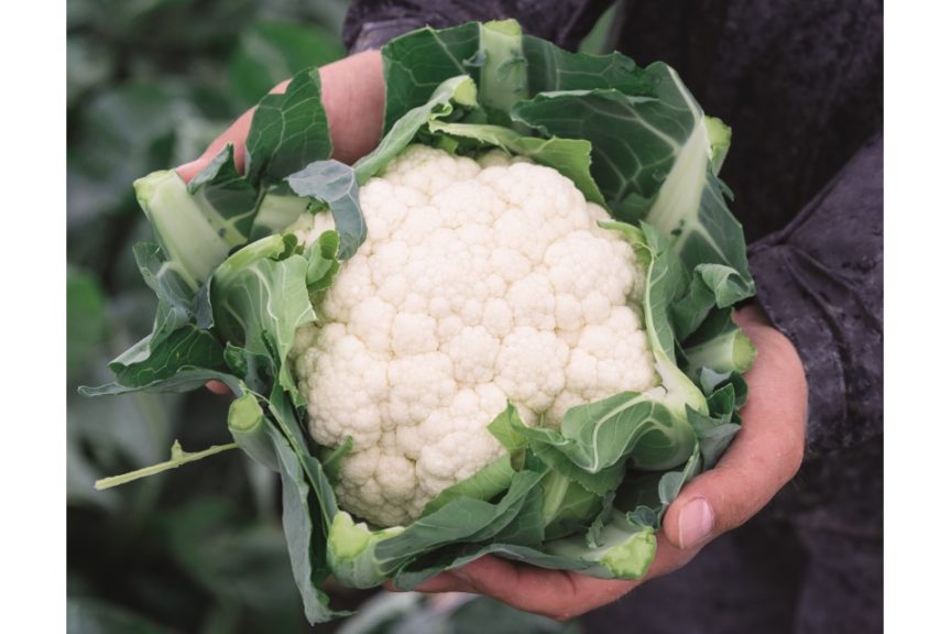 Cool Cauliflower Varieties That Should Be On Your Radar in 2024 ...