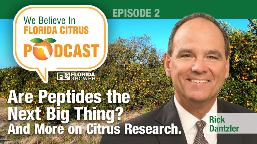 We Believe in Florida Citrus Podcast: Are Peptides the Next Big Thing ...