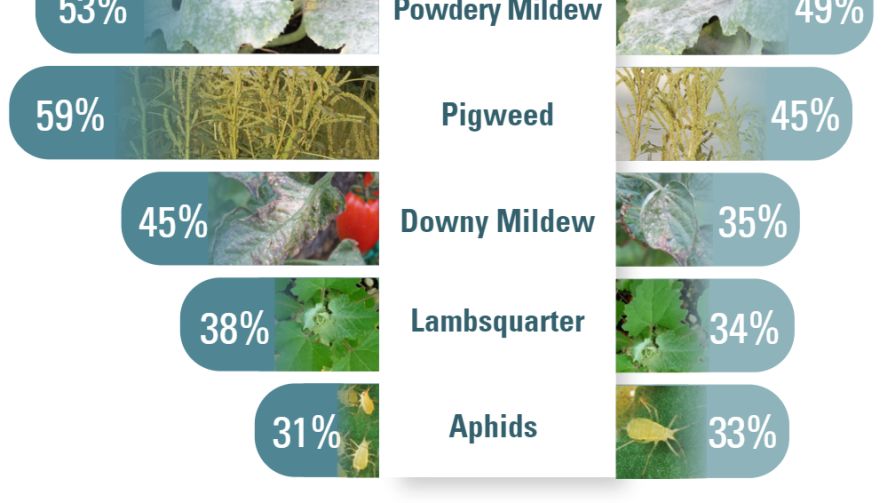 Top Insights from the 2021 State of the Vegetable Industry [Slideshow ...