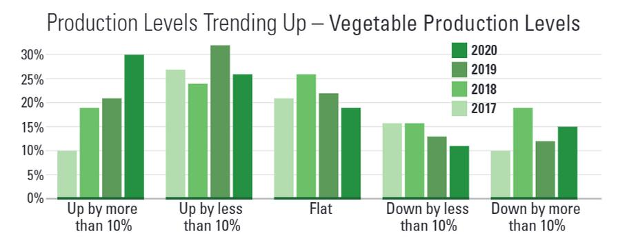 What Drove Production Increases for Vegetable Growers in the Last Year ...