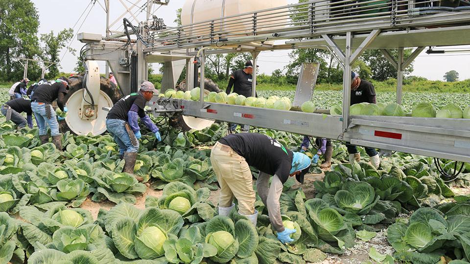 2025 State of the Vegetable Industry Archives - Growing Produce
