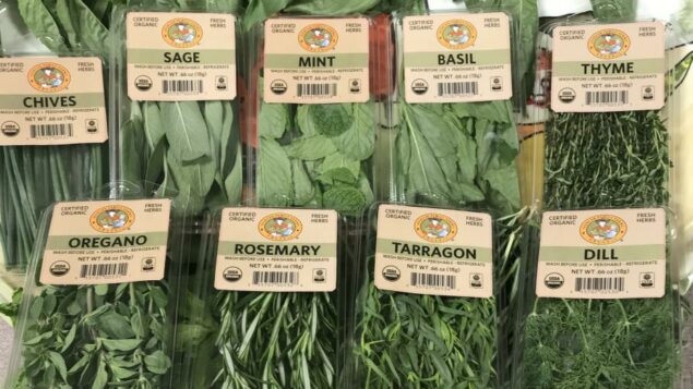 A Big Dill! Duncan Family Farms Launches New Organic Herb Line ...