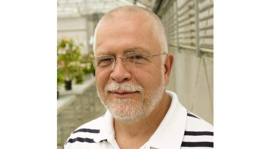 Meet Vegetable Breeders Who View Work With a Fresh Perspective ...