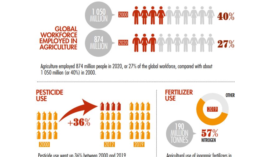 Worldwide Pesticide Use Holds Steady - Growing Produce