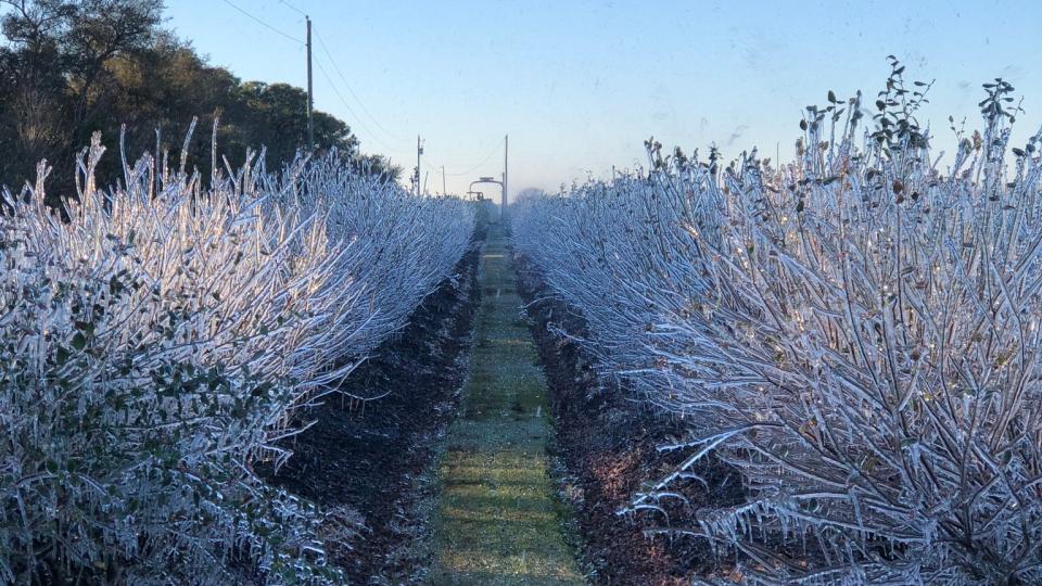 USDA Declares Natural Disaster Areas in Wake of Wicked Winter Blasts ...