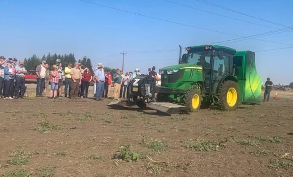 Unique Way to Take Charge of Weed Control in Hazelnut Crops - Growing ...