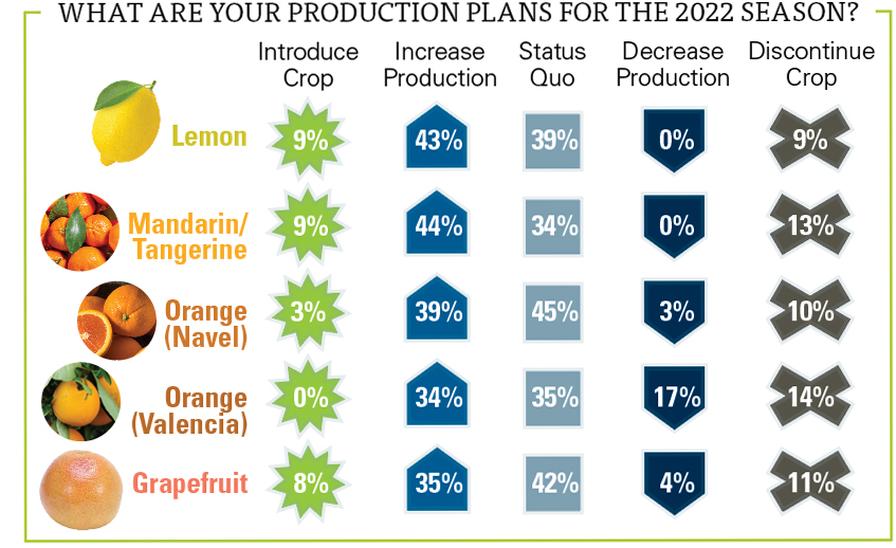 Citrus Industry Stakeholders Look To Stay Positive Amid Challenges ...