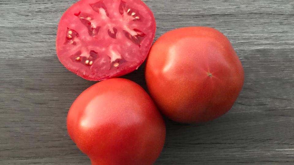 26 Tasty Tomato Varieties You Should Know and Grow Now - Growing Produce