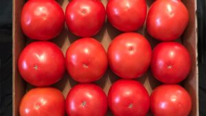 26 Tasty Tomato Varieties You Should Know and Grow Now - Growing Produce