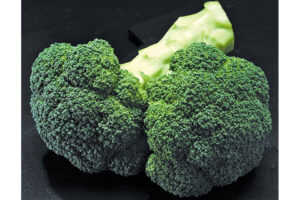 Bold Broccoli Varieties Growers Need To Check Out - Growing Produce